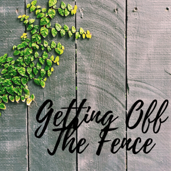Getting Off the Fence: Things to Consider If You Are Contemplating ...